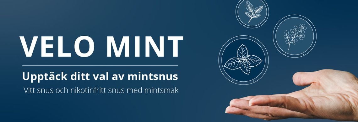 VELO Mint snus: Köp VELO med mintsmak här